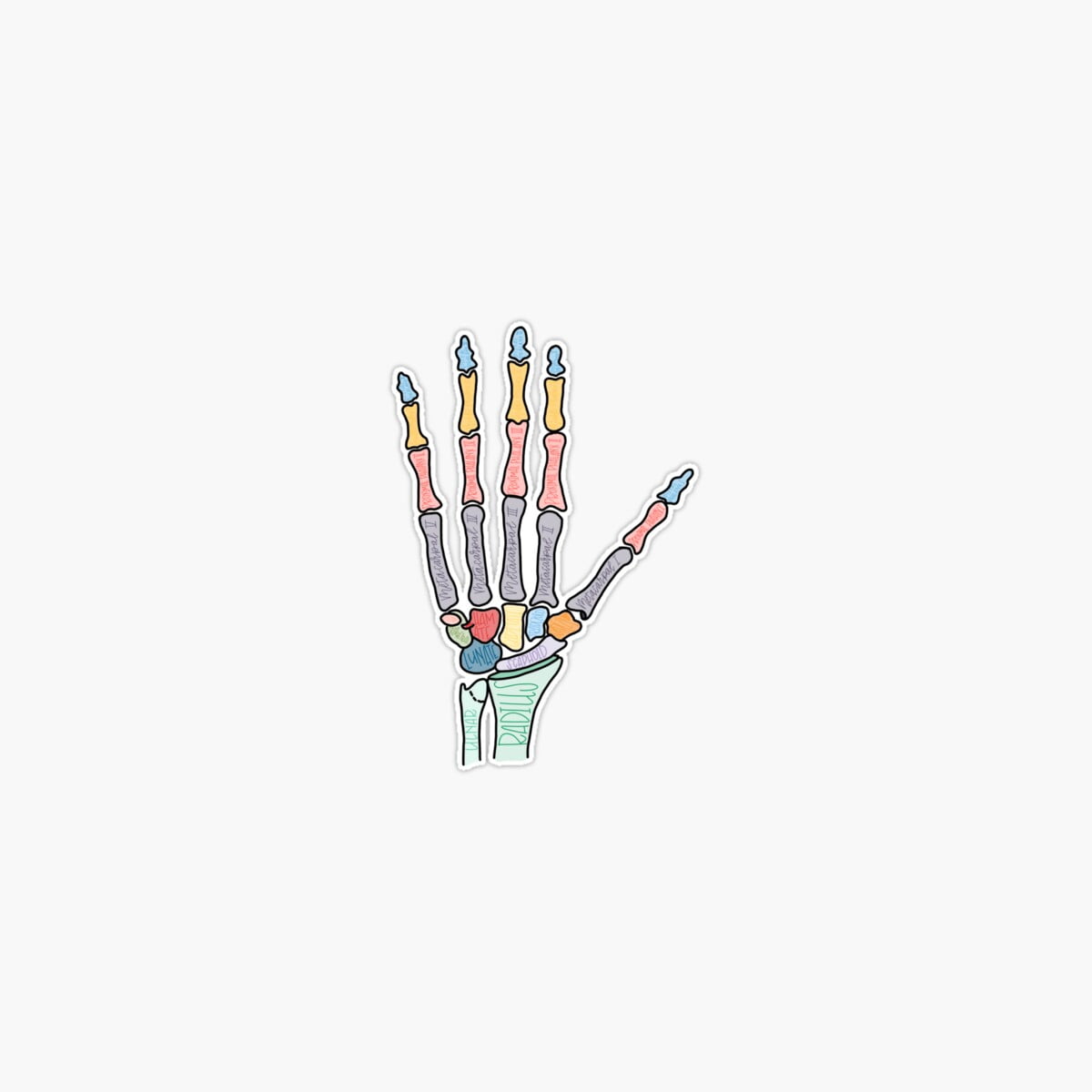 DOPASTICKER Bones Of The Hand Sticker, Phone Sticker Car Stickers ...