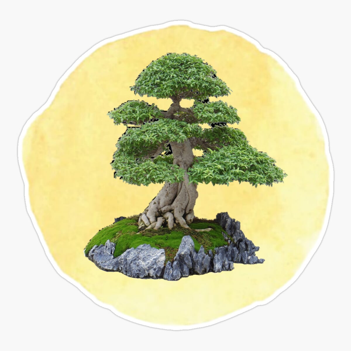 DOPASTICKER Bonsai Tree Japan Culture Sticker, Phone Sticker Car ...