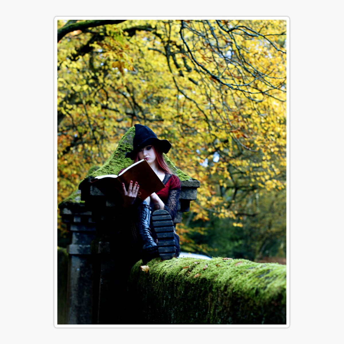 DOPASTICKER Book Nook Sticker, Phone Sticker Car Stickers, Birthday ...