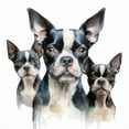 DOPASTICKER Boston Terrier Car Sticker Dog Sticker Phone Sticker, Latop ...