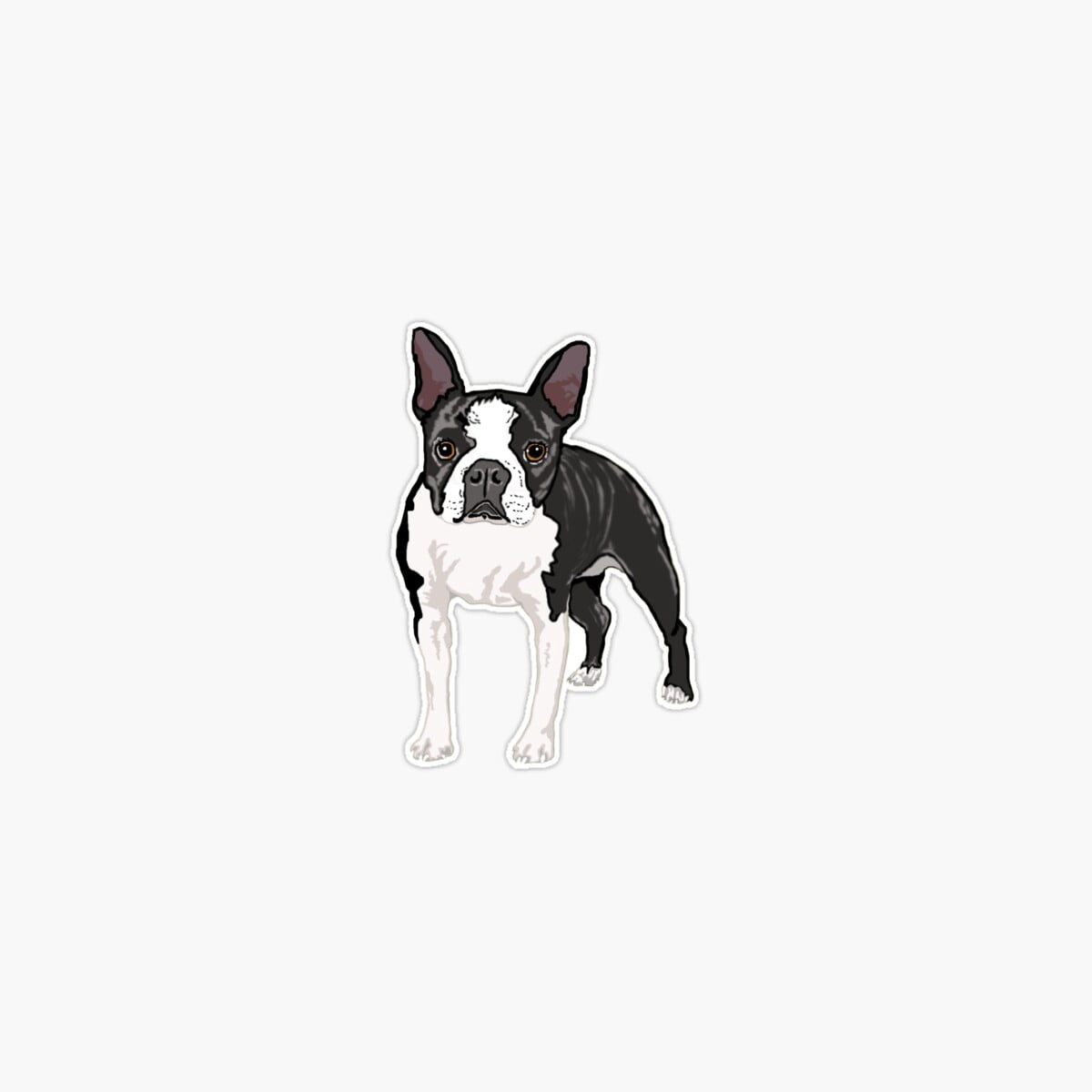 DOPASTICKER Boston Terrier Sticker, Phone Sticker Water Bottle Sticker ...
