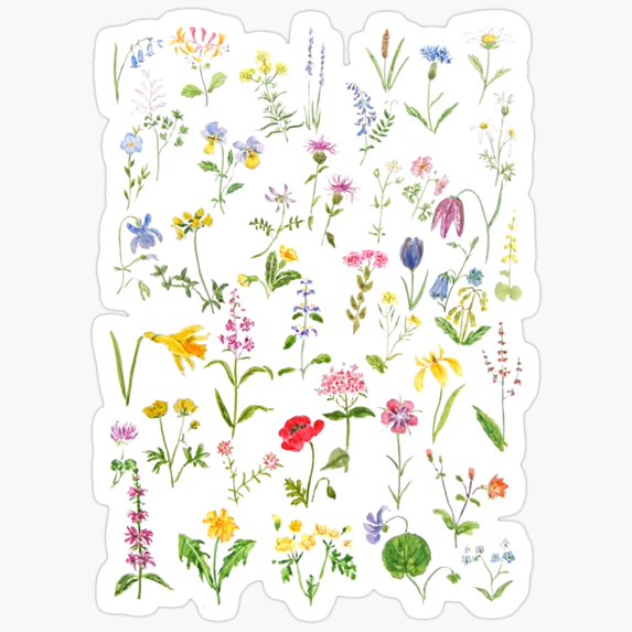 DOPASTICKER Botanical Colorful Countryside Wildflowers Watercolor ...