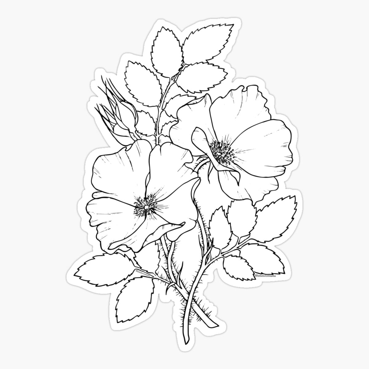 DOPASTICKER Botanical Ink Lined Wild Roses In White Sticker, Phone ...