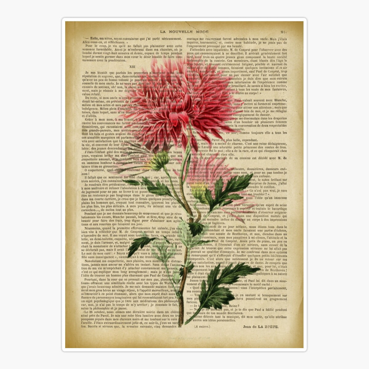 DOPASTICKER Botanical Print, On Old Book Page, Aster Sticker, Phone ...
