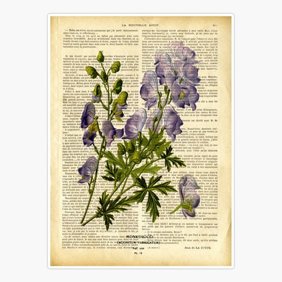 DOPASTICKER Botanical Print, On Old Book Page - Garden Flowers ...