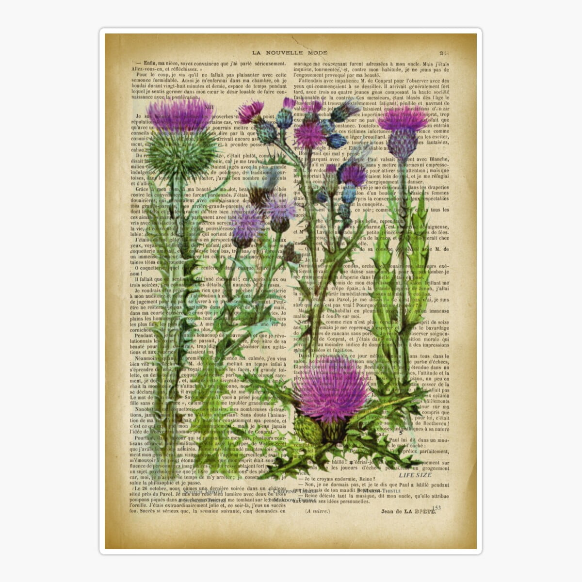 DOPASTICKER Botanical Print, On Old Book Page Sticker, Phone Sticker ...