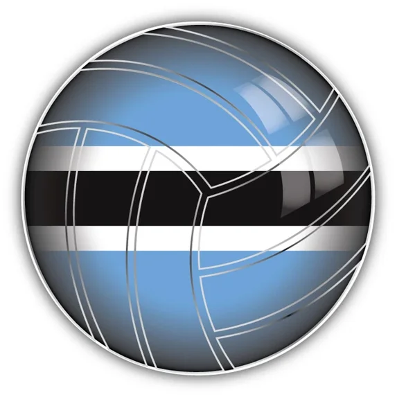 DOPASTICKER Botswana Volleyball World Flag Sticker Decal Phone Decal ...