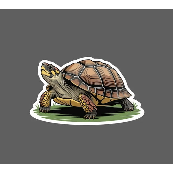DOPASTICKER Box Turtle Sticker Animal Pet Friend Wildlife Sticker Phone ...