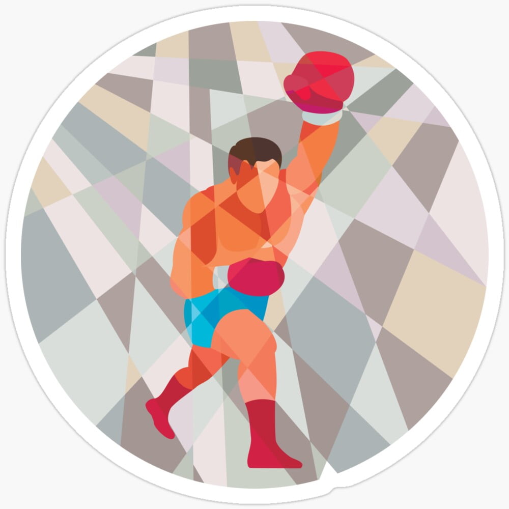 DOPASTICKER Boxer Boxing Punching Circle Low Polygon Sticker Phone ...