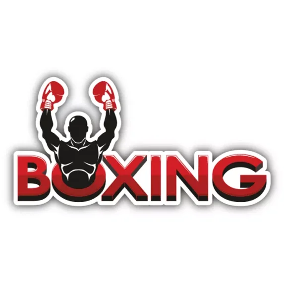 DOPASTICKER Boxing Sticker Decal Phone Decal Water Bottle Stickers ...