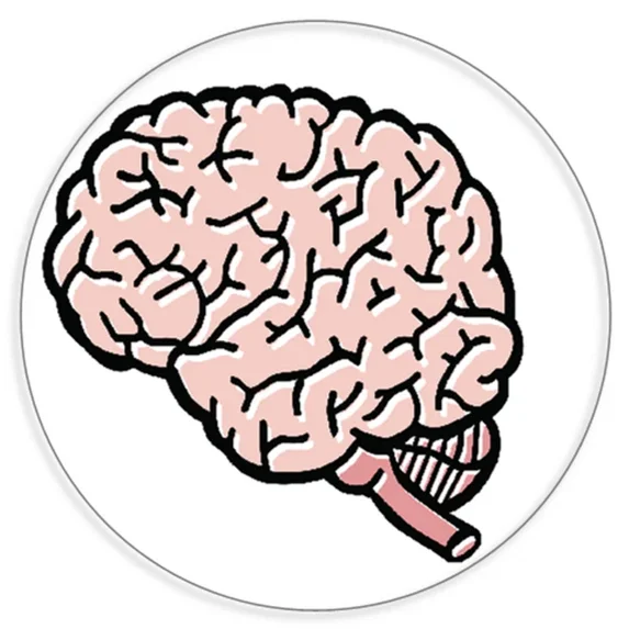 DOPASTICKER Brain, Brainy Smart Phone Decal Water Bottle Stickers, Cars ...