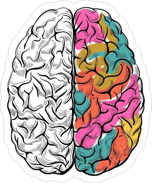 DOPASTICKER Brain Colorful Art Rainbow Happy Love Life Nerd Punk Urban ...
