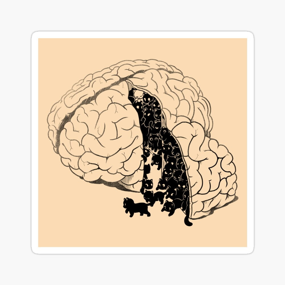 DOPASTICKER Brain Slice Cats! - Hot Trending Sticker Phone Decal Water ...