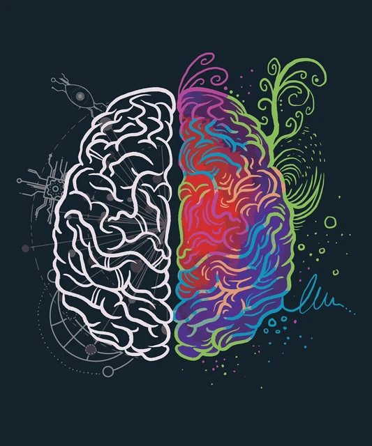 DOPASTICKER Brain Sticker Left Right Creative Art Logic Math Rainbow ...
