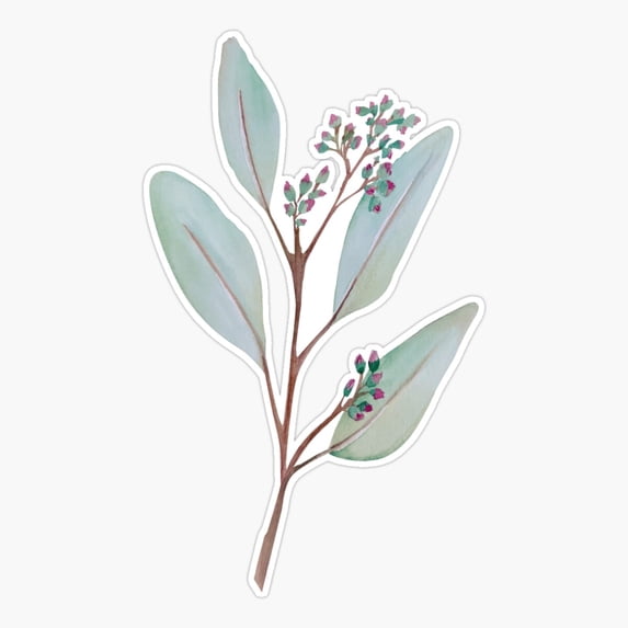 DOPASTICKER Branch Of Eucaliptus Sticker, Phone Sticker Water Bottle ...