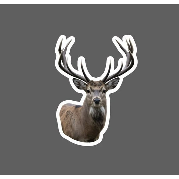 DOPASTICKER Buck Sticker Deer Realistic Animal Hunting Sticker Phone ...