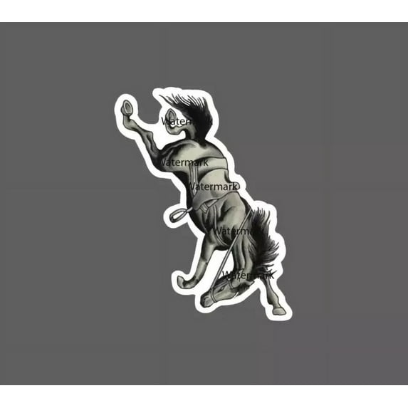 DOPASTICKER Bucking Bronco Rodeo Decorative Laptop, Phone Stickers ...