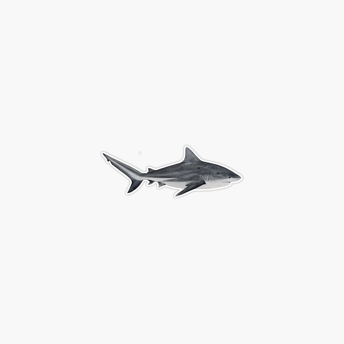 DOPASTICKER Bull Shark (Carcharhinus Leucas) Sticker, Phone Sticker Car ...