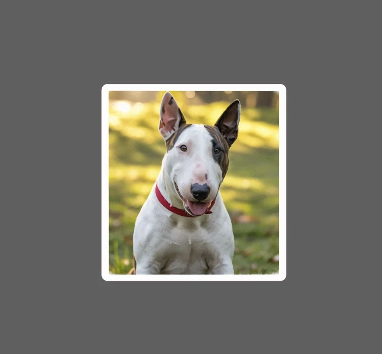 DOPASTICKER Bull Terrier Sticker Dog Pet Picture Portrait Family ...