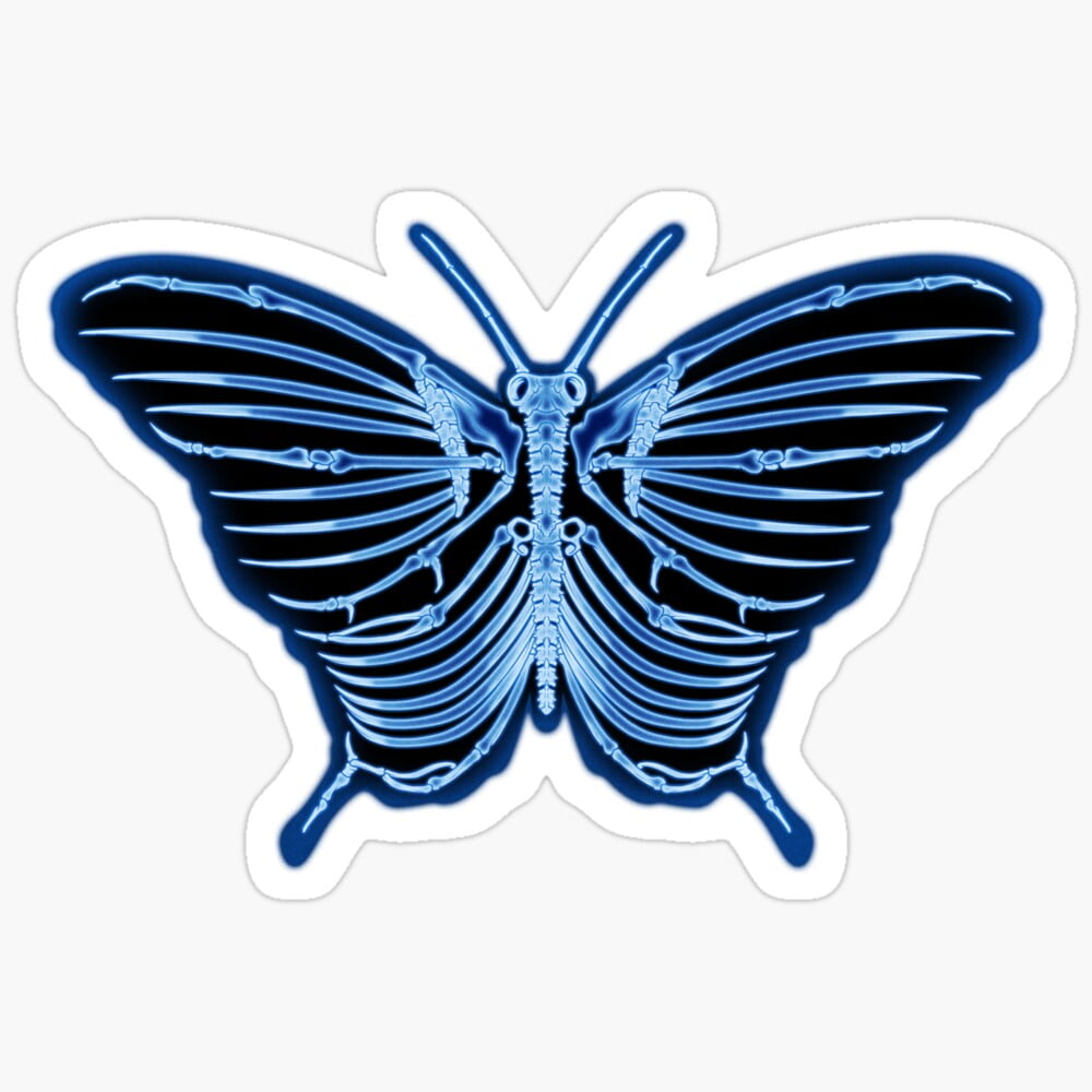 DOPASTICKER Butterfly Anatomy Perfect Gift Everyone Phone Decal Water ...