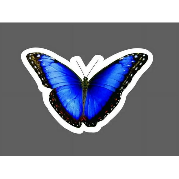 DOPASTICKER Butterfly Sticker Realistic Blue Animal Wildlife Sticker ...