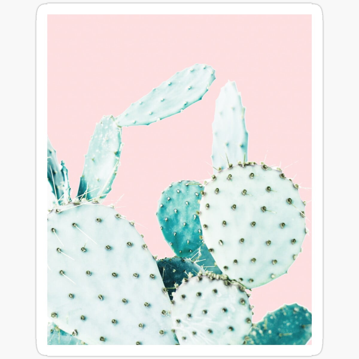 DOPASTICKER Cacti, Cactus, Cacti Print, Cactus Art, Desert, Nature ...