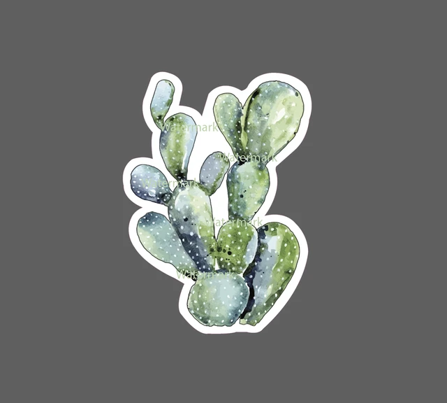 DOPASTICKER Cactus Sticker Desert Plant Sticker Phone Sticker, Latop ...
