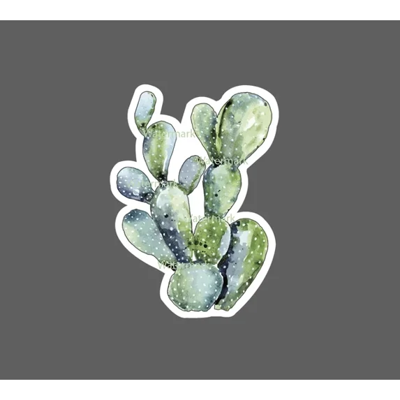 DOPASTICKER Cactus Sticker Desert Plant Sticker Phone Sticker, Latop ...