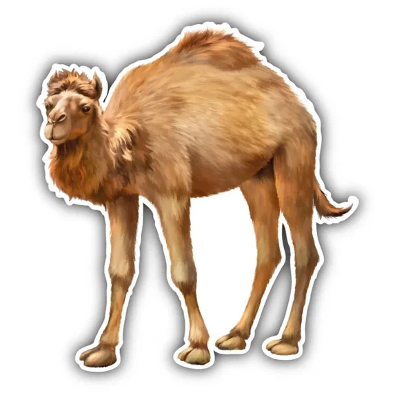 DOPASTICKER Camel Animal Sticker Decal Phone Decal Water Bottle ...