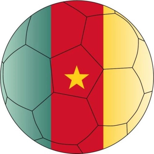 DOPASTICKER Cameroon Soccer Ball Football Flag Sport Sticker Phone ...