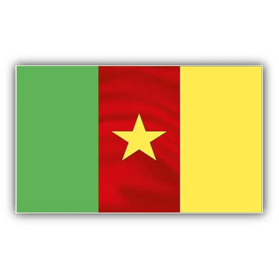 DOPASTICKER Cameroon Wavy Flag Sticker Decal Phone Decal Water Bottle ...