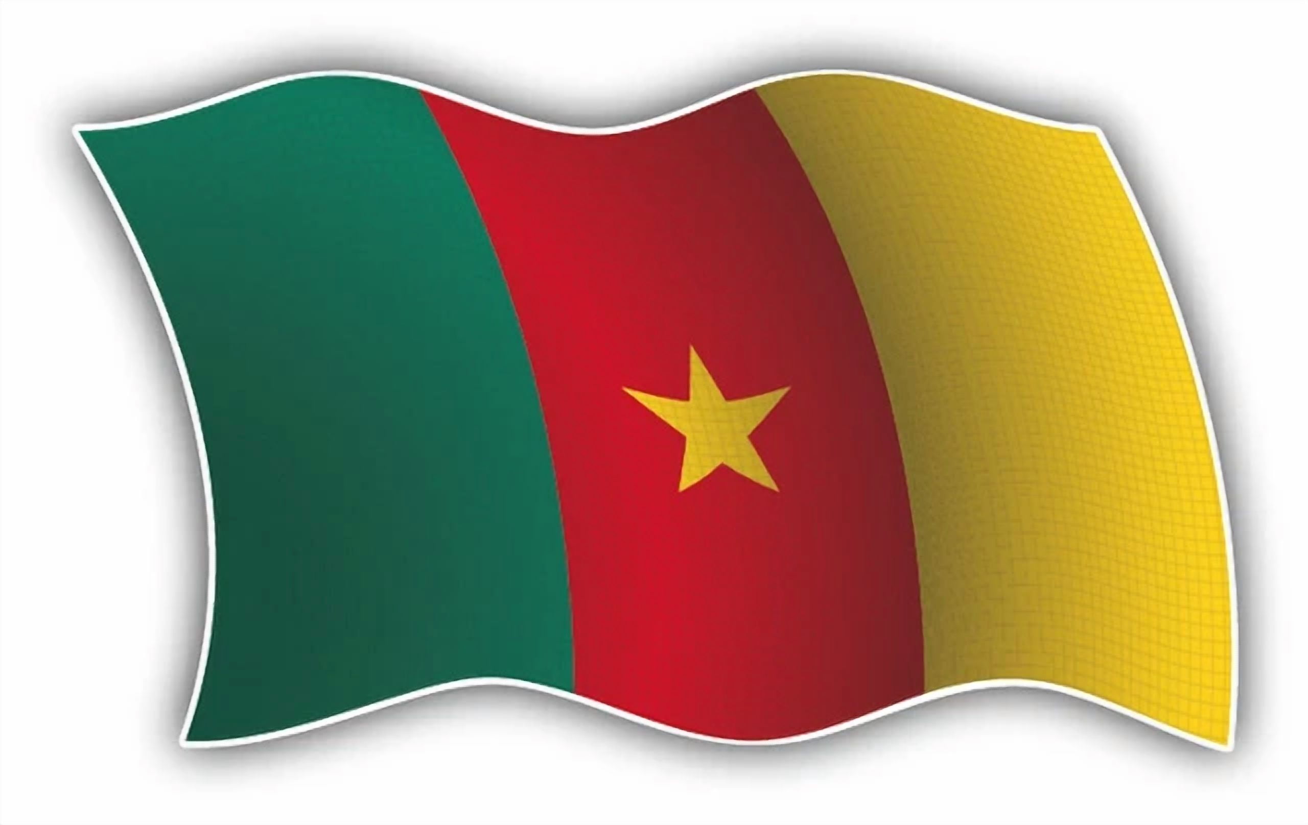 DOPASTICKER Cameroon Wavy Flag Sticker Decal Phone Decal Water Bottle ...