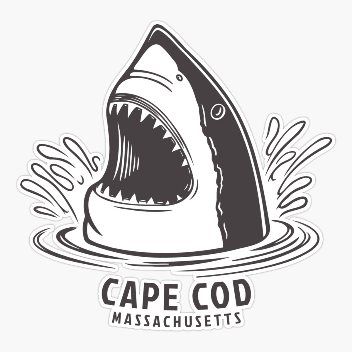 DOPASTICKER Cape Cod Beach Massachusetts Ma Atlantic Ocean Great White ...