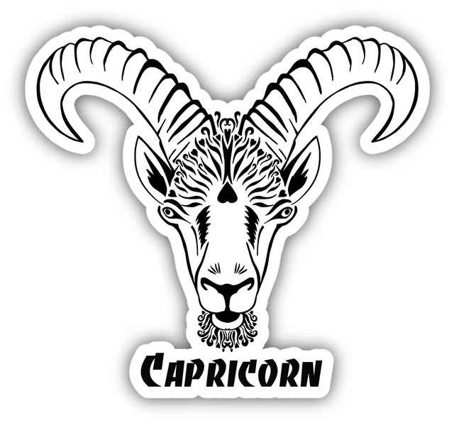 DOPASTICKER Capricorn Zodiac Sign Sticker Phone Water Bottle Stickers ...