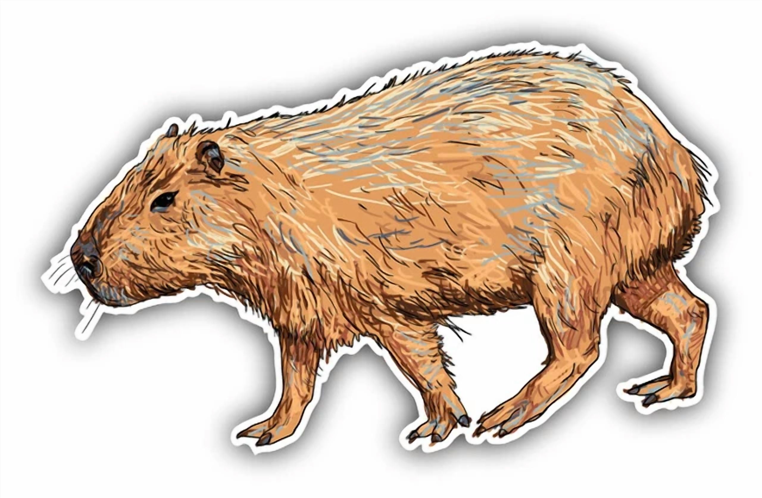 DOPASTICKER Capybara Sticker Decal Phone Decal Water Bottle Stickers ...