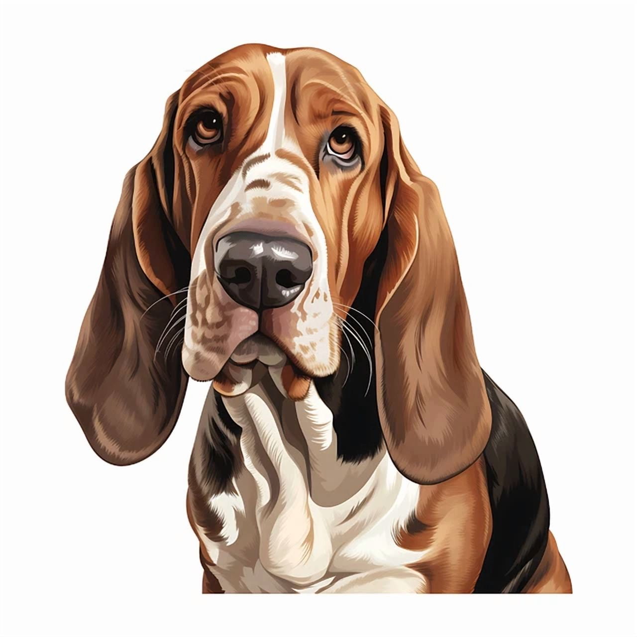 DOPASTICKER Car Sticker Basset Hound Car Sticker Dogs Sticker Phone ...