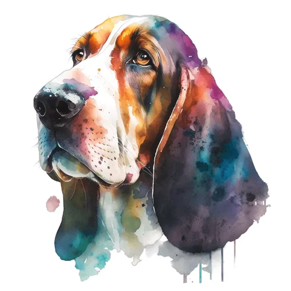 DOPASTICKER Car Sticker Basset Hound Car Sticker Dogs Sticker Phone ...