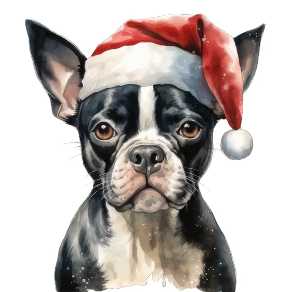 DOPASTICKER Car Sticker Boston Terrier Car Sticker Dogs Sticker Phone ...