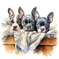 DOPASTICKER Car Sticker Boston Terrier Car Sticker Dogs Sticker Phone ...