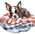 DOPASTICKER Car Sticker Boston Terrier Car Sticker Dogs Sticker Phone ...