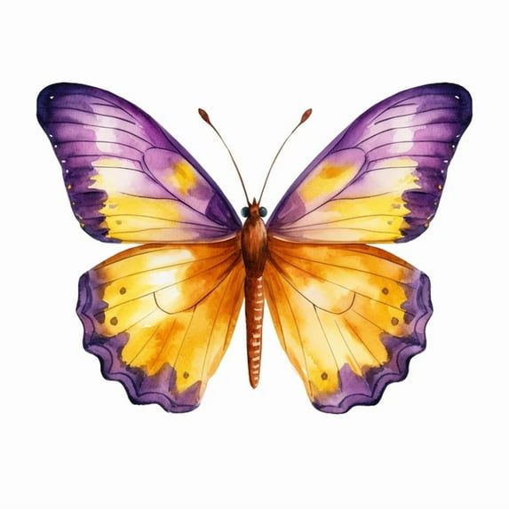 DOPASTICKER Car Sticker Butterfly Sticker Phone Sticker, Latop Sticker ...