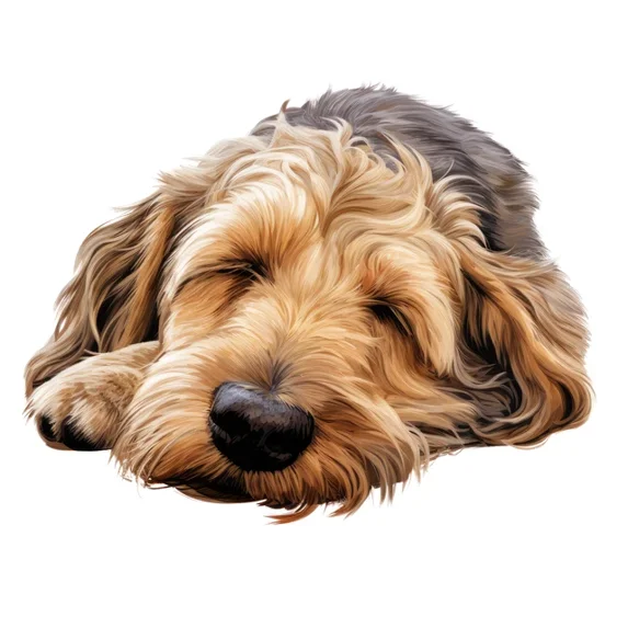 DOPASTICKER Car Sticker Cute Sleeping Dogs Sticker Dogs Sticker Phone ...