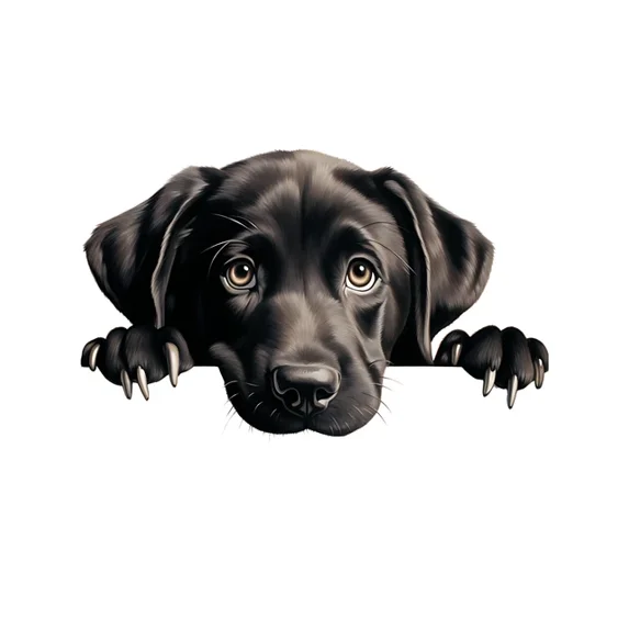 DOPASTICKER Car Sticker Labrador Retriever Sticker Dogs Sticker Phone ...