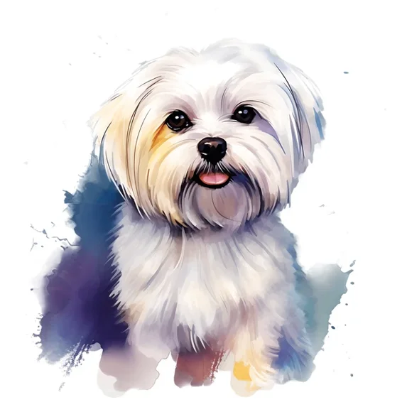 DOPASTICKER Car Sticker Maltese Car Sticker Dogs Sticker Phone Sticker ...