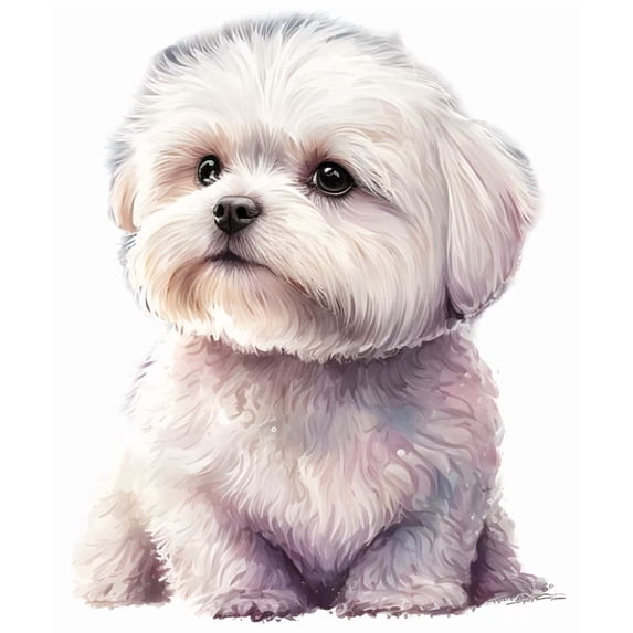 DOPASTICKER Car Sticker Maltese Car Sticker Dogs Sticker Phone Sticker ...