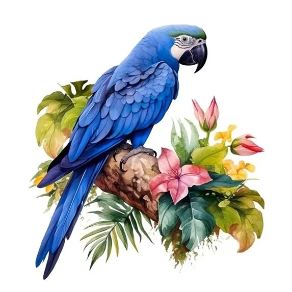 DOPASTICKER Car Sticker Parrot Sticker Phone Sticker, Latop Sticker ...