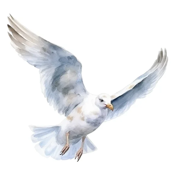 DOPASTICKER Car Sticker Seagull Sticker Phone Sticker, Latop Sticker ...