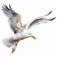 DOPASTICKER Car Sticker Seagull Sticker Phone Sticker, Latop Sticker ...