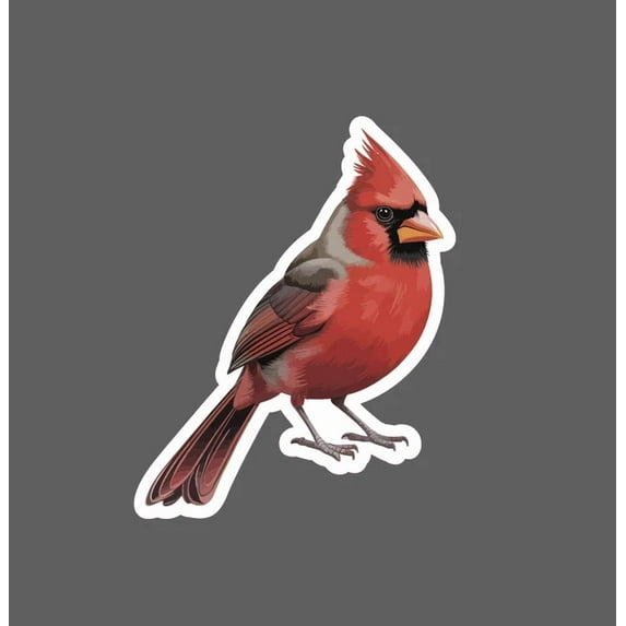 DOPASTICKER Cardinal Sticker Bird Animal Wildlife Nature Sticker Phone ...