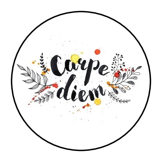 DOPASTICKER Carpe Diem Stickers Party Favors Gifts Phone Decal Water ...